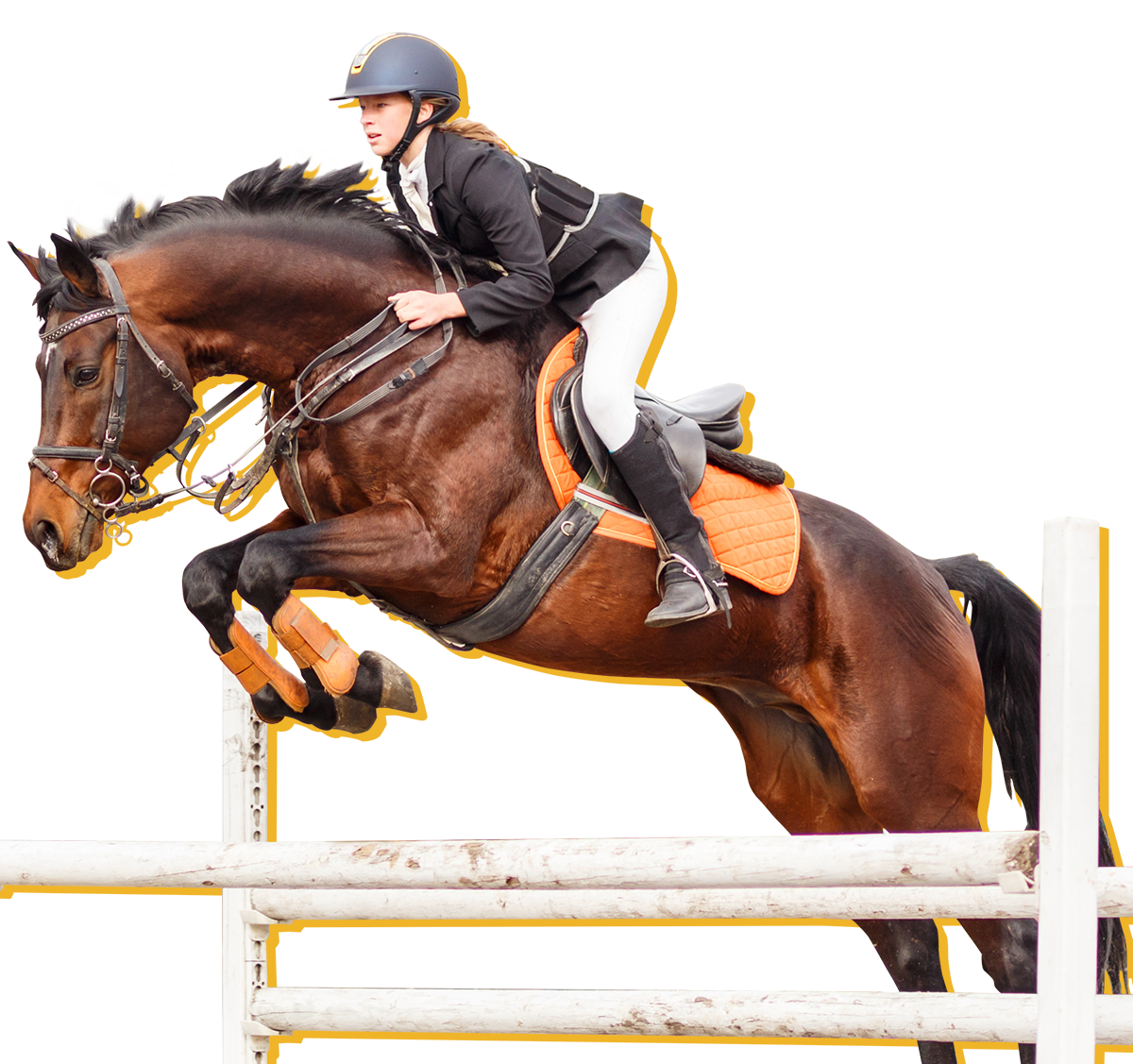Equestrian