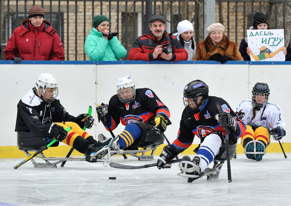 Sled Preds Teammates Share Bond of Service, Hockey